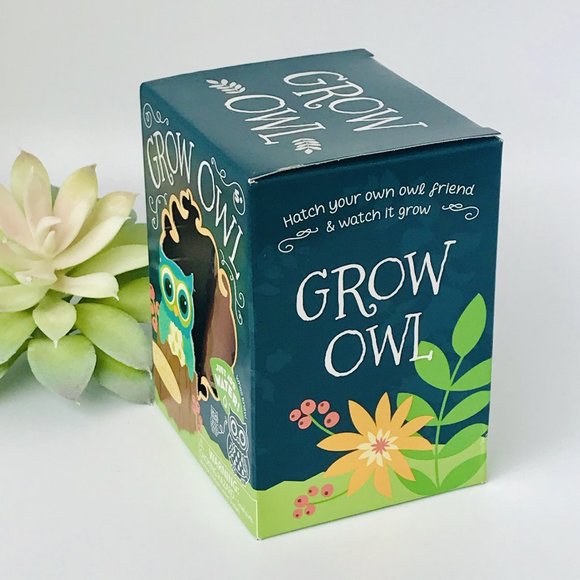 Toysmith | Toys | Grow Owl Kit | Poshmark